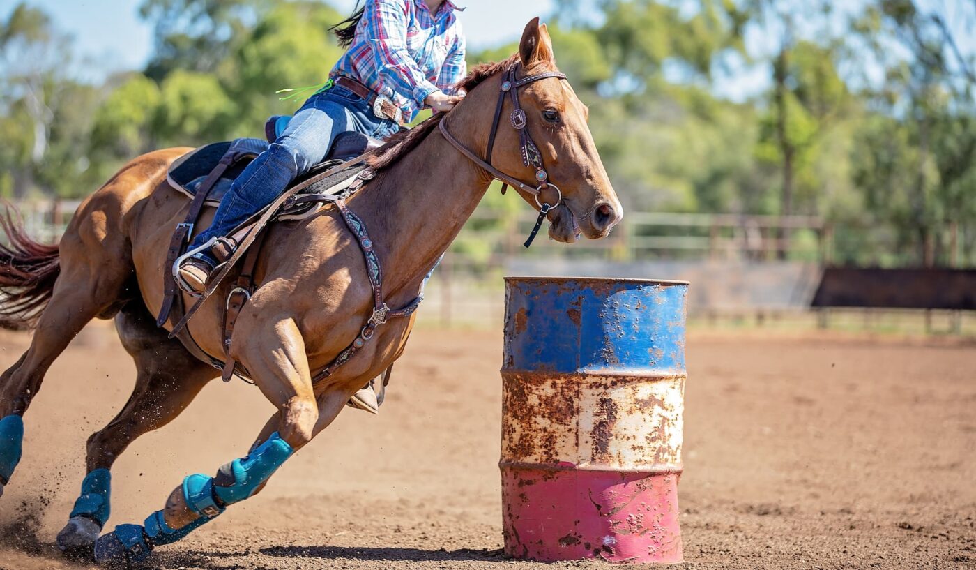 Boots, Buzzers and Barrel Racing: Your Houston Rodeo Guide | The Hallmark